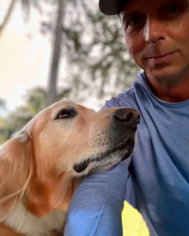 Veterinarian In Ponte Vedra Beach, FL 32082 | Palm Valley Veterinary Center